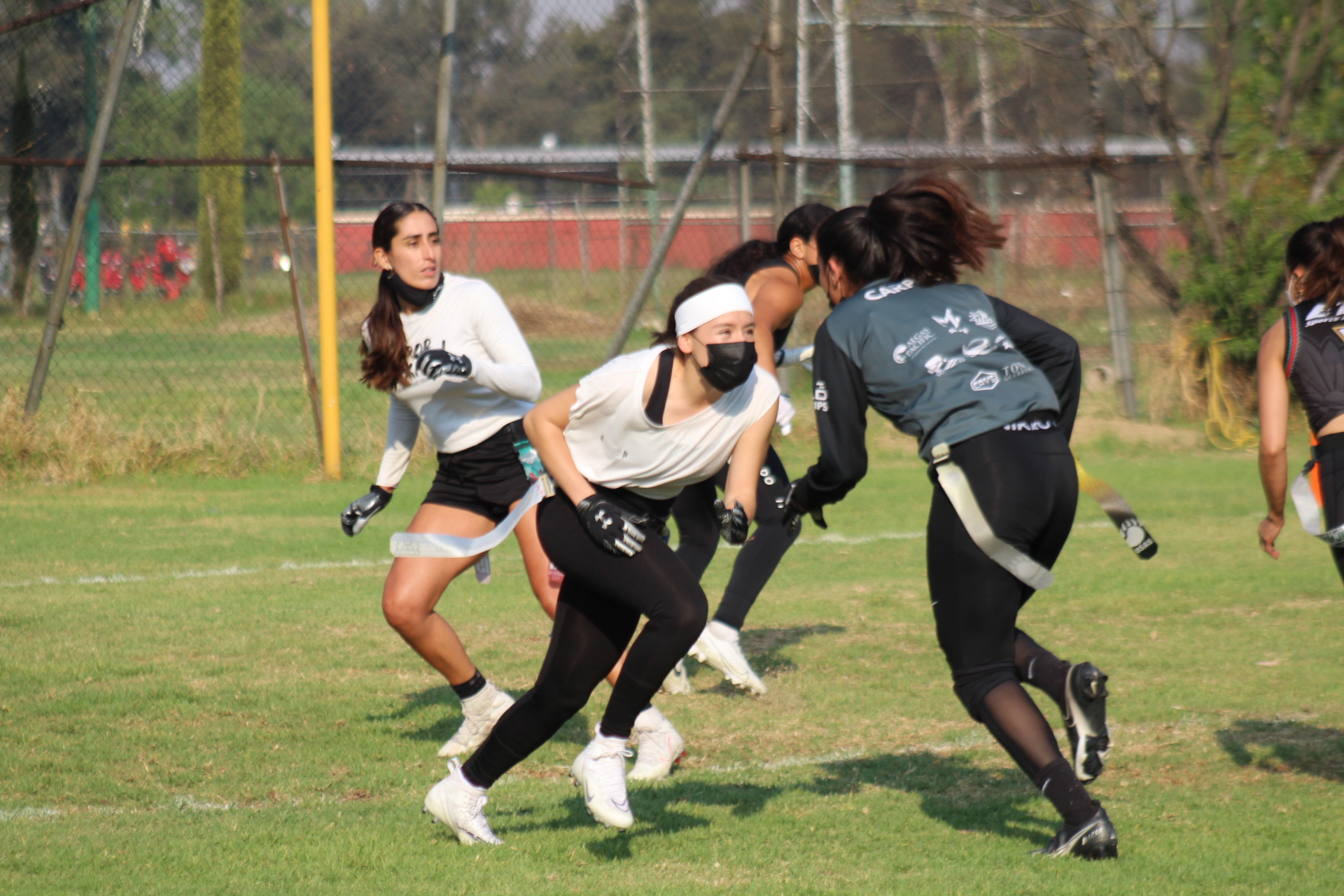 Flag Football (Galería Fotos) - FMFA