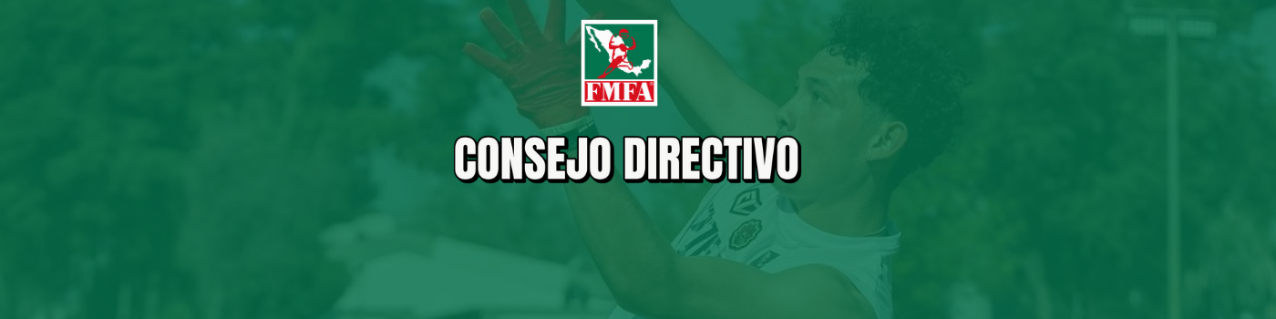 CONSEJO DIRECTIVO 13 - FMFA